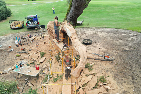 Santee Cooper Tree Carving - Santee Cooper Golf