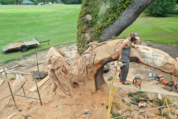 Santee Cooper Tree Carving - Santee Cooper Golf