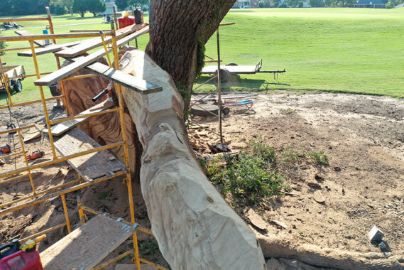 Santee Cooper Tree Carving - Santee Cooper Golf