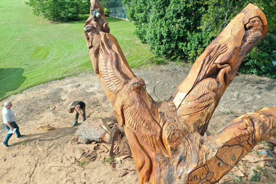 Santee Cooper Tree Carving - Santee Cooper Golf